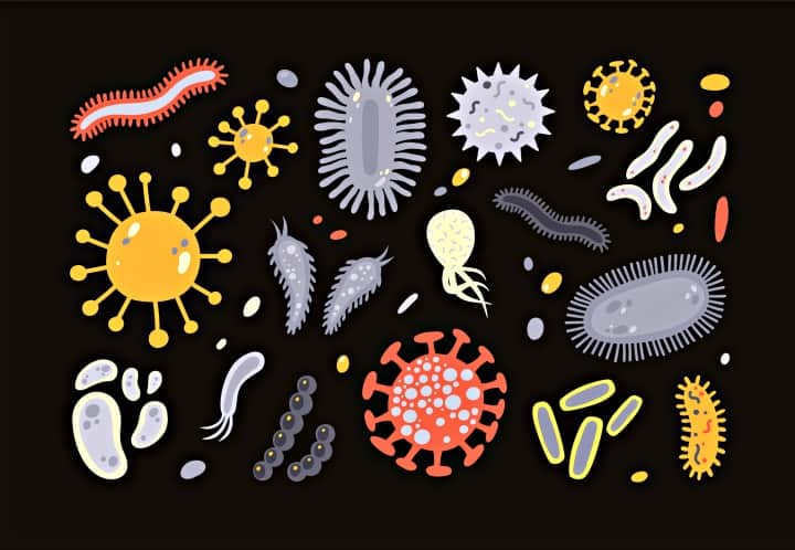 Germs at the Doctor's Office